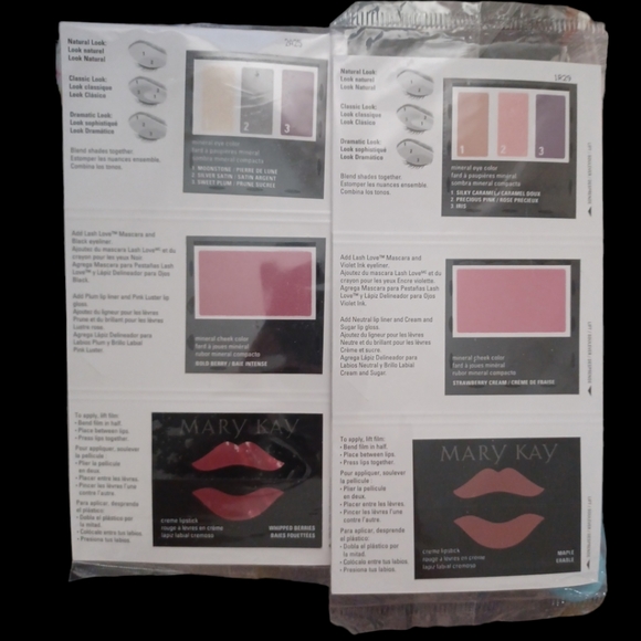 Mary Kay | Makeup | New Mary Kay Lot Of Color Cards Makeup Samplers ...